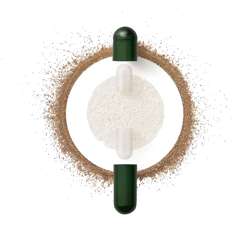 Nature's Selection: Premium, Clean, British-Made UK Health Supplements